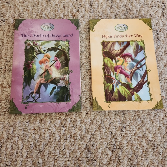 Disney | Other | Set Of 2 Disney Fairies Books | Poshmark
